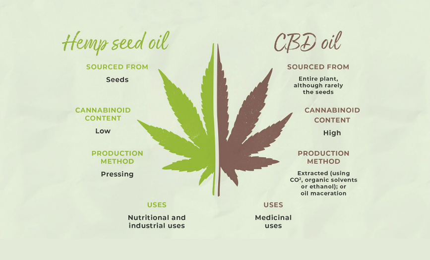 Hemp vs Marijuana: Understanding the Differences and Myths – Ananta ...
